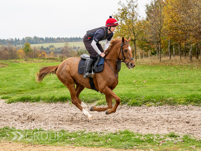 Owners Group | Event Photos