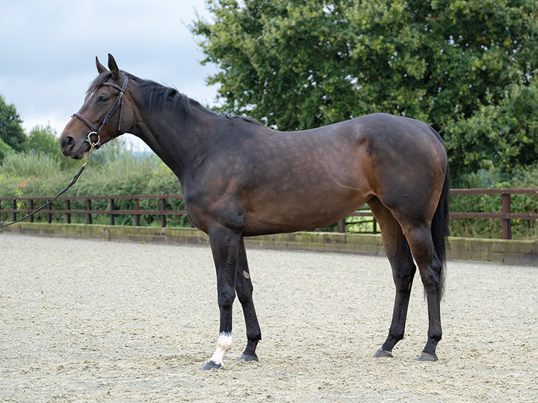 Owners Group | Buy A Share