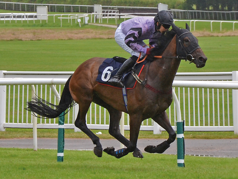 Owners Group | Share Info