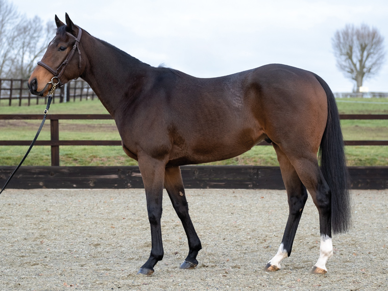 Owners Group | Buy A Share